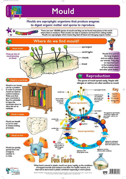 CHART MOULD – Rutland Industries