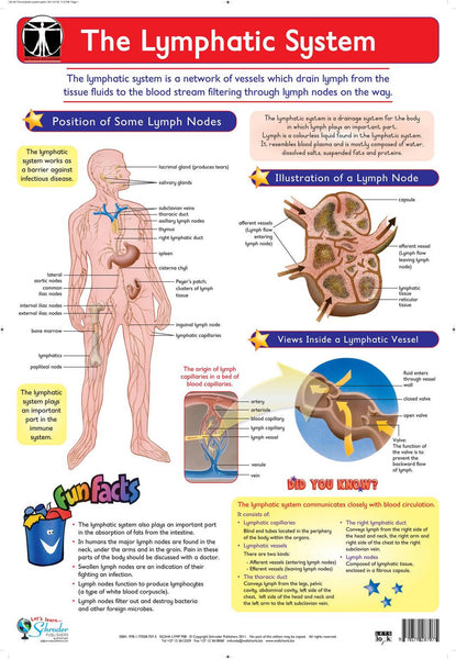 CHART LYMPHATIC SYSTEM – Rutland Industries