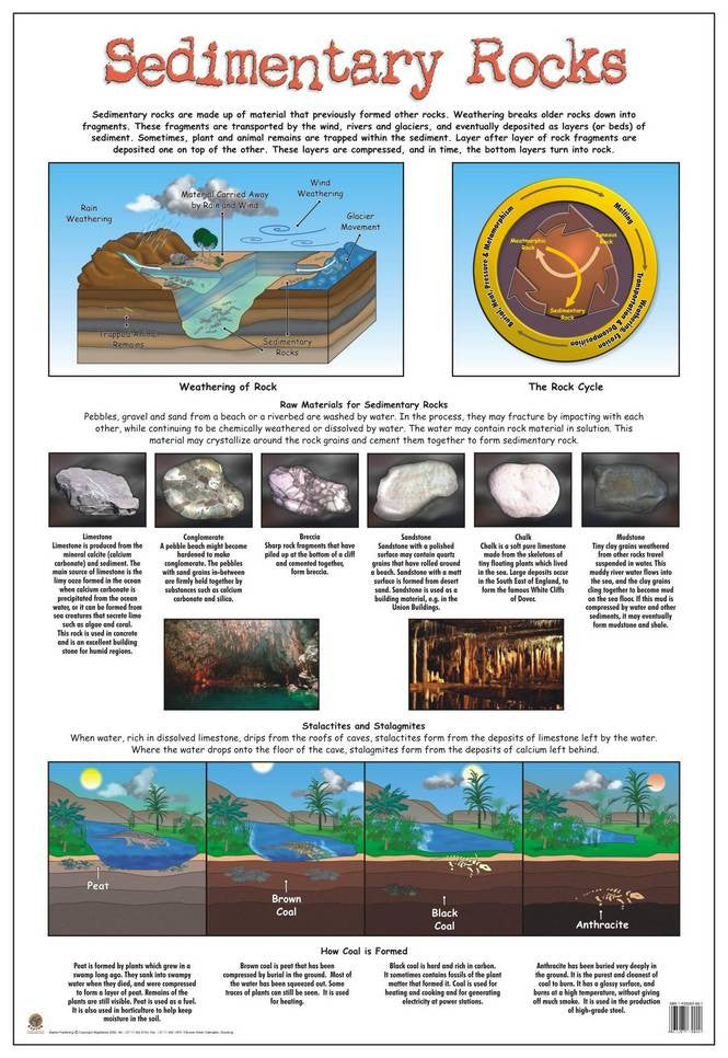 Sedimentary Rocks Chart
